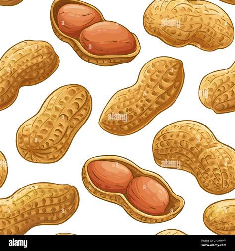 Peanut Vector Pattern On White Background Stock Vector Image And Art Alamy