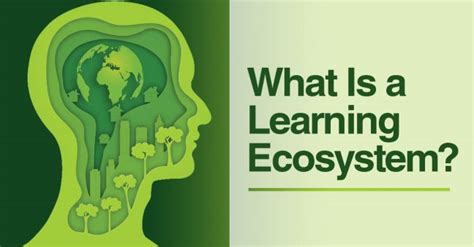 What Is A Learning Ecosystem Convergence Training