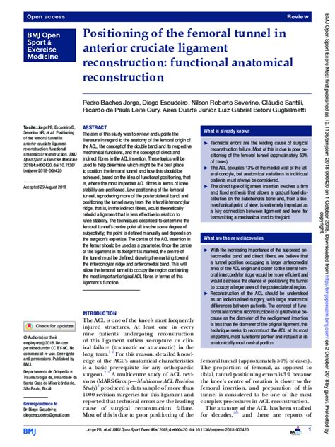 Pdf Positioning Of The Femoral Tunnel In Anterior Cruciate Ligament Reconstruction Functional