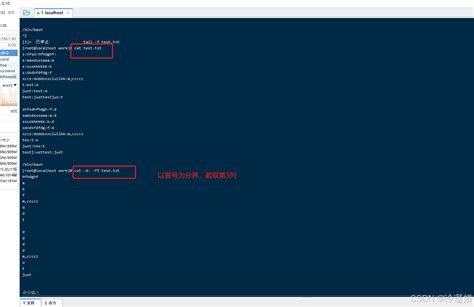linux系统命令（四）工作目录切换及文档查看命令：pwd、ls、cd、more、head、tail、tr、wc、stat、cut、diff