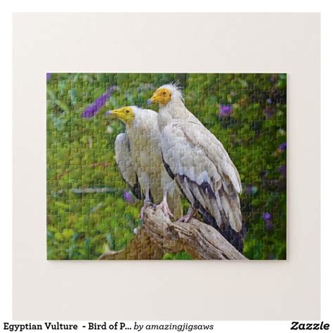 Egyptian Vulture Bird Of Prey Jigsaw Puzzle Zazzle Prey Bird