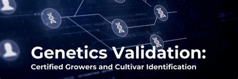 Member Blog Genetics Validation Certified Growers And Cultivar