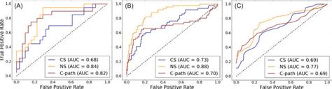 Classification Results A Shows Auc For Binary Classification