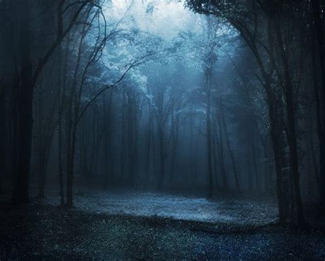 Phatpuppy Blue Fairy Forest By Phatpuppy On DeviantART On We Heart It