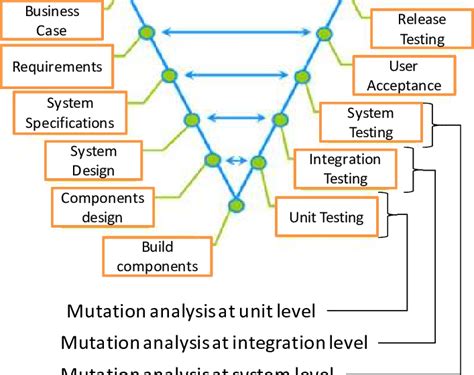 The Testing V Model And Mutation Analysis Download Scientific Diagram