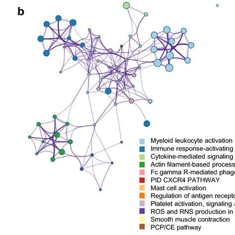 Relationship Between T Cell Receptor TCR Repertoire Diversity And Download Scientific Diagram