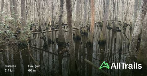 West Trail And Gopher Loop Georgia 47 Reviews Map Alltrails