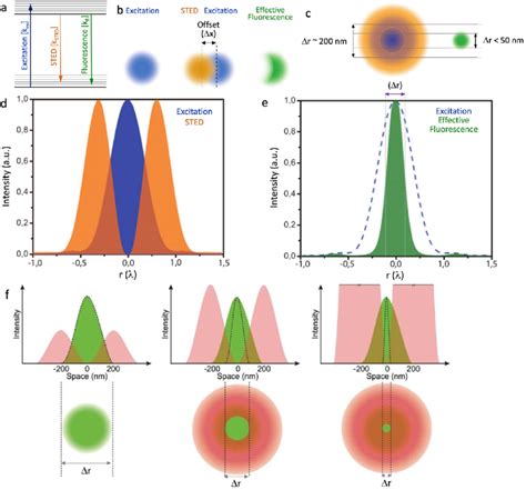 A Graphical Illustration Of The Excitation Stimulated Emission And Download Scientific