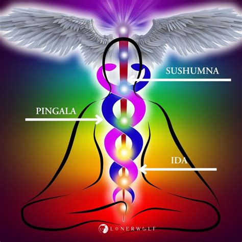 9 Kundalini Awakening Stages Of Mystical Transformation ⋆ Lonerwolf