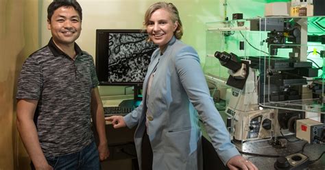 Salk Uc San Diego Scientists Reveal First Look At 3 D Structure Of Dna