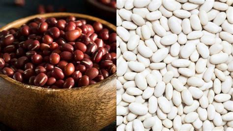 Adzuki Beans Vs White Beans Which One Is Better For You Holy Peas