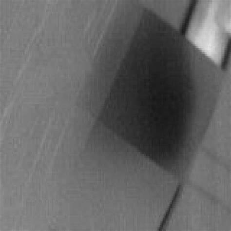 Water Leak Object Detection Dataset And Pre Trained Model By School