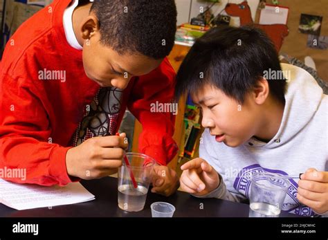 Education Elementary Or Middle Babe Grade 6 Science Class DNA Extraction Two Babes Working On