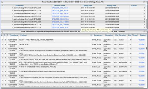 Panorama List Oracle Trace Files And Its Content