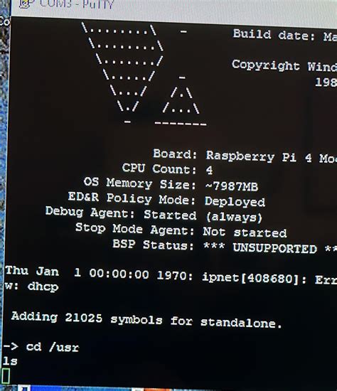 No Output In Terminal With Putty Rembedded
