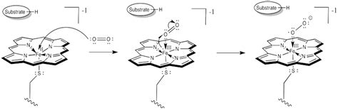 Reactivity Oxygen Reduction