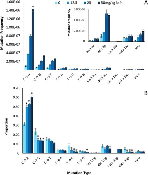 Duplex Sequencing Background And Bap Induced Mutations By Subtype In