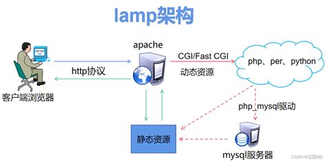 部署lamplamp部署 Csdn博客