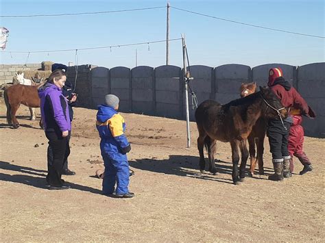 Сүхбаатар аймгийн Гэр бүл хүүхэд залуучуудын хөгжлийн газар Added A New Сүхбаатар аймгийн