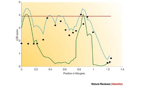 Choices Of Analysis For Quantitative Trait Locus Mappingthe Data Shown Download Scientific