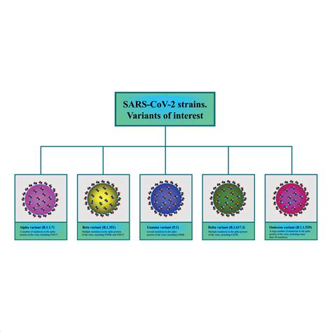 Variants Of Concern Variant Of Interest Sars Cov 2 Variants 25562277 Vector Art At Vecteezy