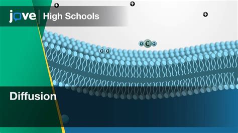 Diffusion Bio Video Textbooks Preview Youtube