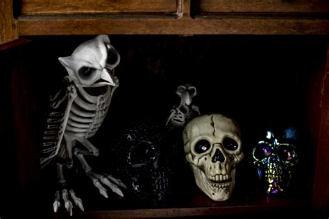 Axial Skeleton Anatomy Quiz