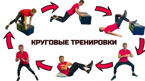 Что такое круговые тренировки В чем их преимущества по сравнению с другими форматами тренировок