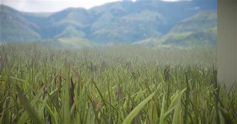 Grass Collection V1 3d Vegetation Unity Asset Store