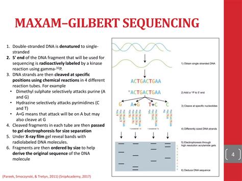 Introduction To Next Generation Sequencing Pptx