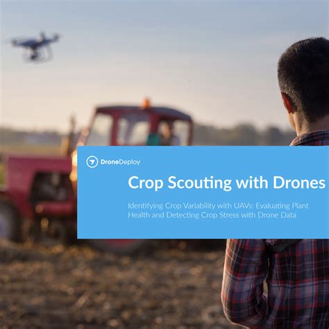 Dronedeploy On Linkedin Crop Scouting With Drones Identifying Crop