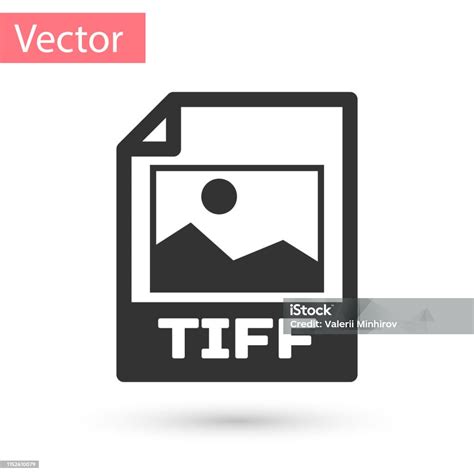 회색 Tiff 파일 문서 아이콘입니다 흰색 배경에 고립 된 Tiff 버튼 아이콘을 다운로드 합니다 Tiff 파일 기호입니다 벡터 일러스트 Toronto