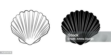 바다 껍질 가리비 삽화 세트 조개 껍질 윤곽선 및 실루엣 아이콘 가리비에 대한 스톡 벡터 아트 및 기타 이미지 가리비