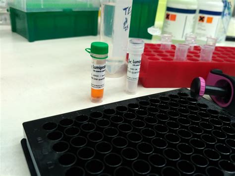 Quantification In 96 Well Fluorescent Microplate Reader