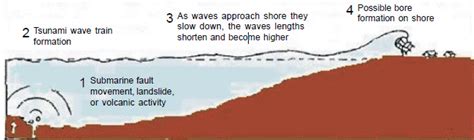 Chapter Notes Tsunami Class Notes EduRev