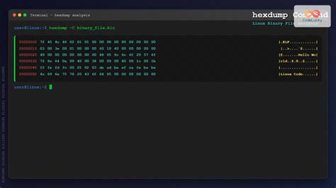 Zip Command Linux Complete Guide To Creating Zip Archives With