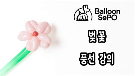 풍선아트 벚꽃풍선 강의 Ep7 Blossom Balloon Lecture Video Youtube