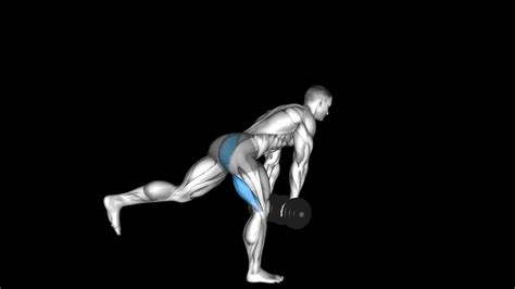 Dumbbell Single Leg Deadlift Hips ددلیفت دمبل تک پا Youtube