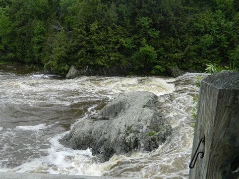 Building A Narx In Matlab To Forecast Time Series Data By Isaac Godfried Towards Data Science