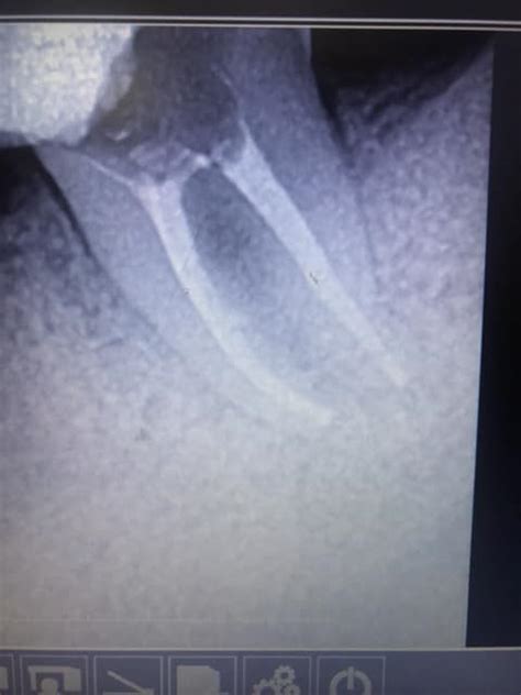 Dr Tamta Kedelashvili•ექიმი სტომატოლოგი თამთა კედელაშვილი Facebook