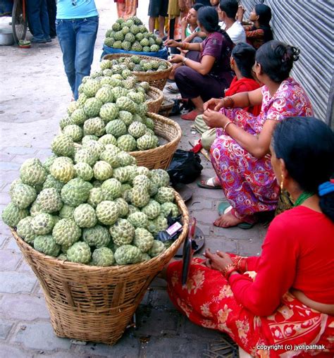 Taste Of Nepal Glossary Of Common Fruits Of Nepal English Nepali