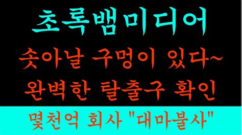 초록뱀미디어 초록뱀미디어 주가 초록뱀미디어 주식 초록뱀미디어 전망 Youtube