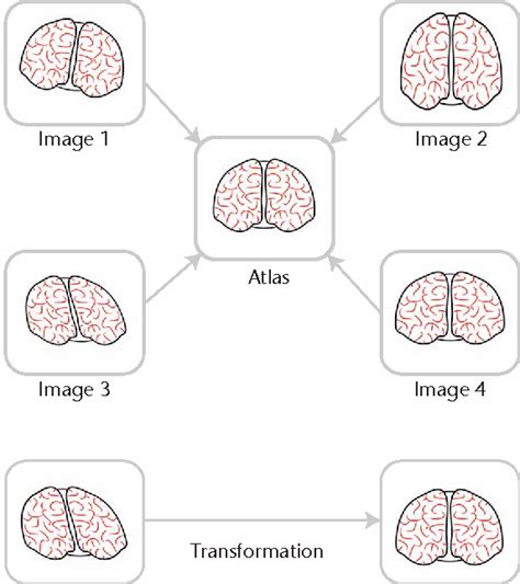 Figure From Evaluating Shape Alignment Via Ensemble Visualization