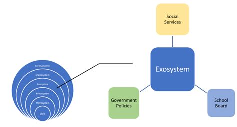 Ecological Model Of Exosystem Download Scientific Diagram