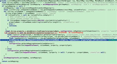 Mybatis之possible Unexpected Auto Mapping Gaoyida
