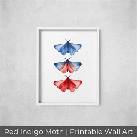 Sneha Bhosale On Behance Hand Art Drawing Moth Art Nature Art