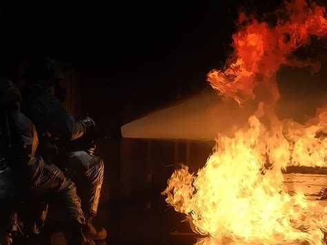 Polisi Periksa 3 Saksi Buntut Pembakaran Kantor Polhut Tnbbs