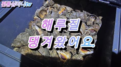 해루질 다녀왔습니다 해루질 박하지 소라 낚지 Youtube
