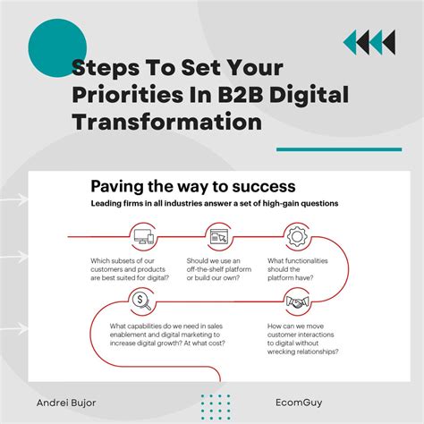 Digitalstrategy Ecommerce B2b Andrei Bujor