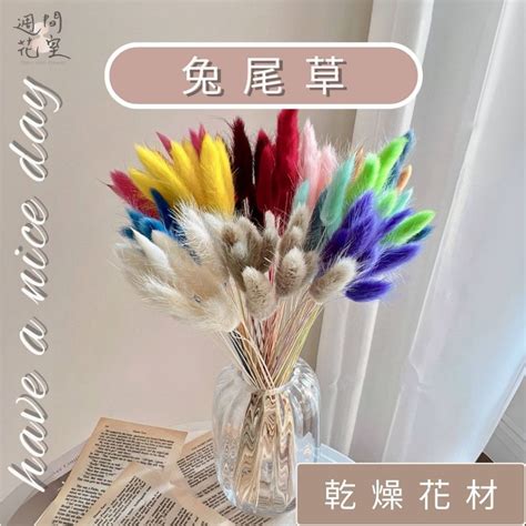 週間花室｜兔尾草 乾燥花 不凋花 永生花 花材 材料 滿天星 狗尾巴草 乾燥花材 情人節 母親節 鼠尾草 蝦皮購物